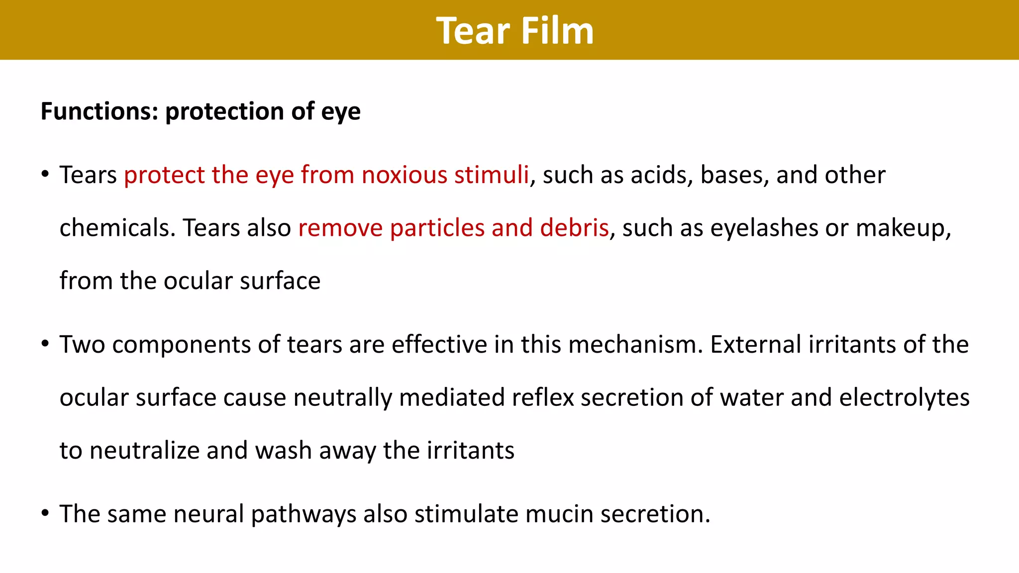 Tear film | PDF