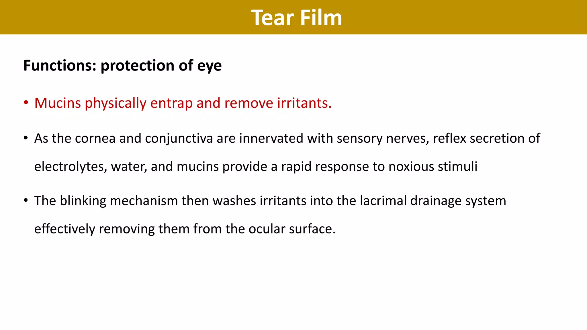 Tear film | PDF