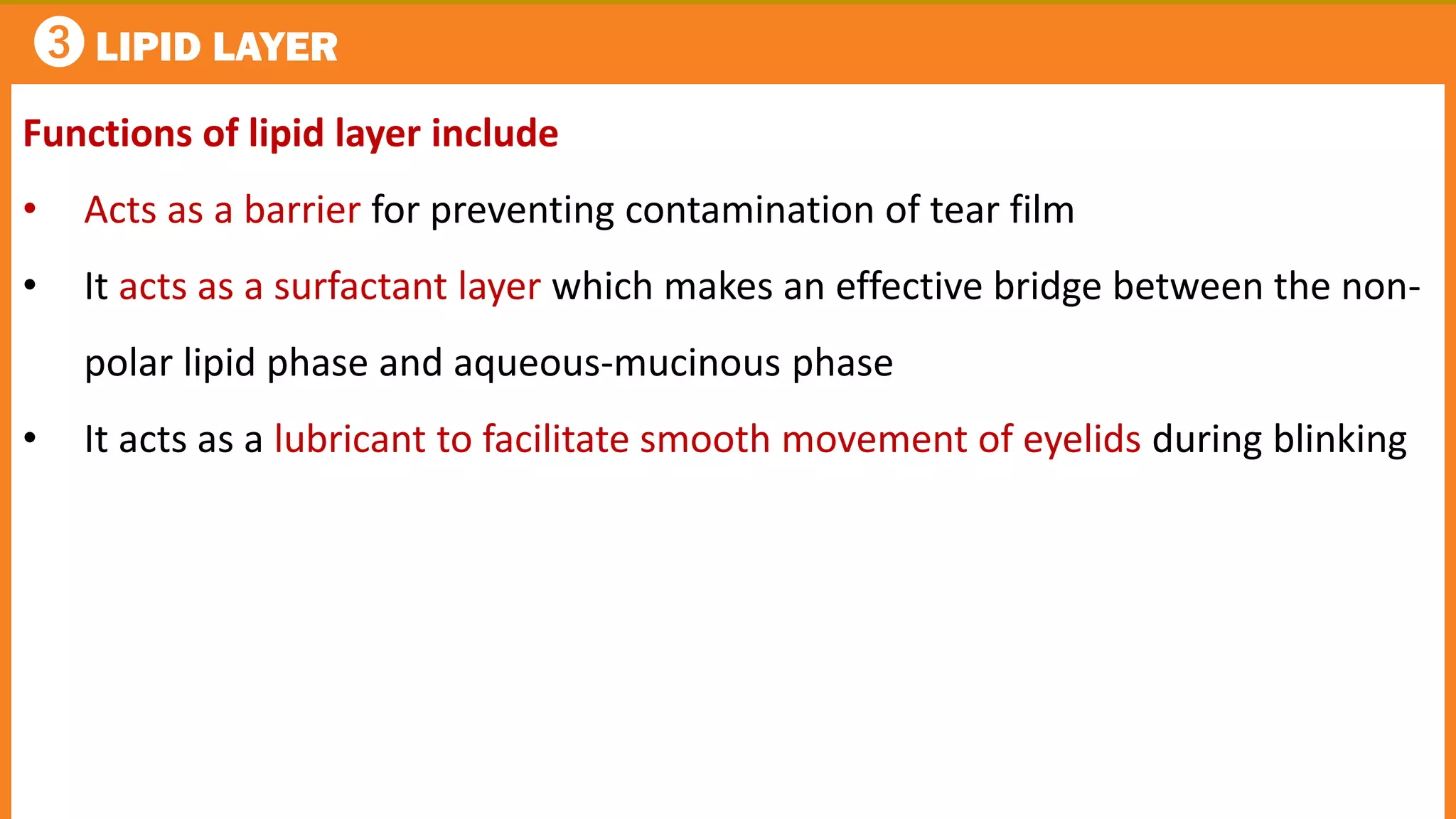 Tear film | PDF