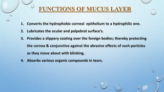 tear film.pptx