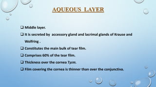 tear film.pptx