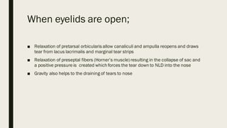 ANATOMY & PHYSIOLOGY OF TEAR FILM FOR CONTACT LENS FITTING.pdf