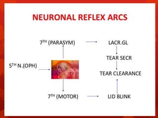 Tear film and dynamics | PPTX