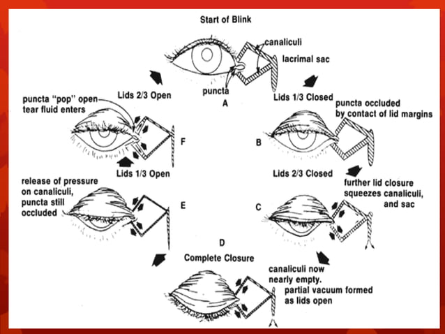 Tear film and dynamics | PPTX