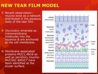 Tear film and dynamics | PPTX