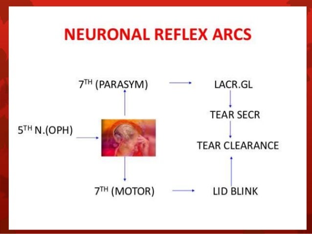 Tear film and dynamics sivateja
