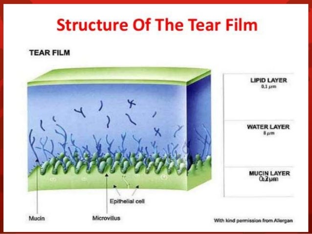 Tear film and dynamics sivateja