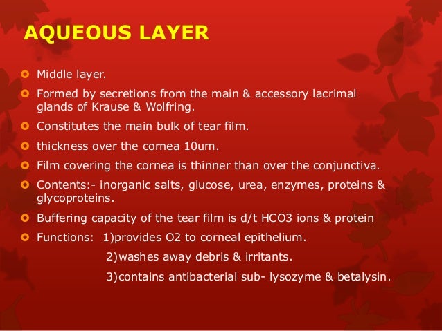 Tear film and dynamics sivateja