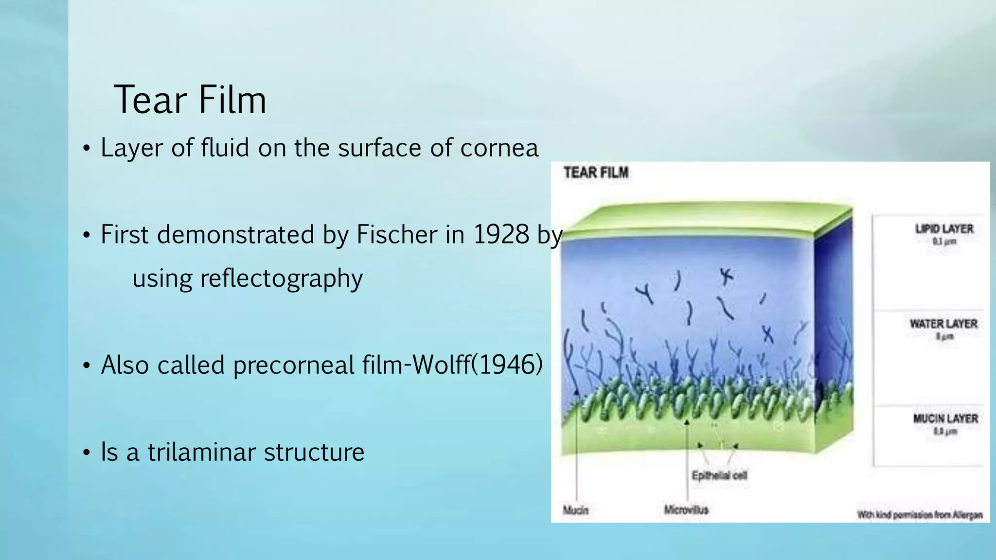 Tearfilm & blinking | PPTX