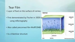 Tearfilm & blinking | PPTX
