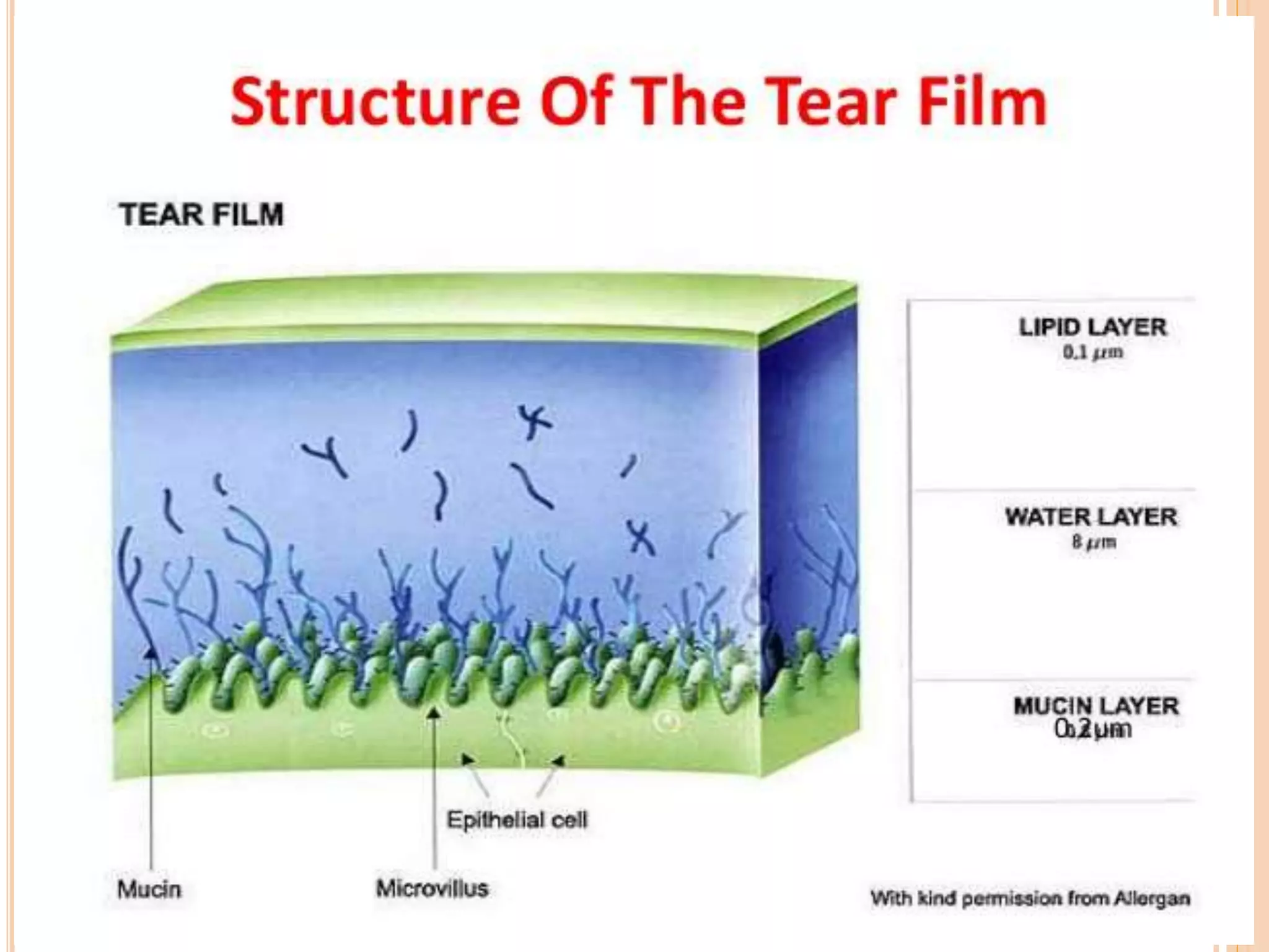 Tear film Dr Ferdous | PPTX