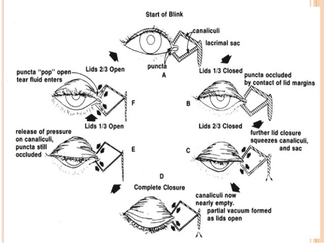 Tear film Dr Ferdous