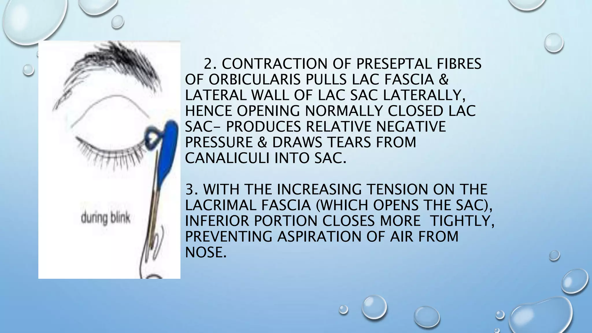 Tear film dynamics | PPTX