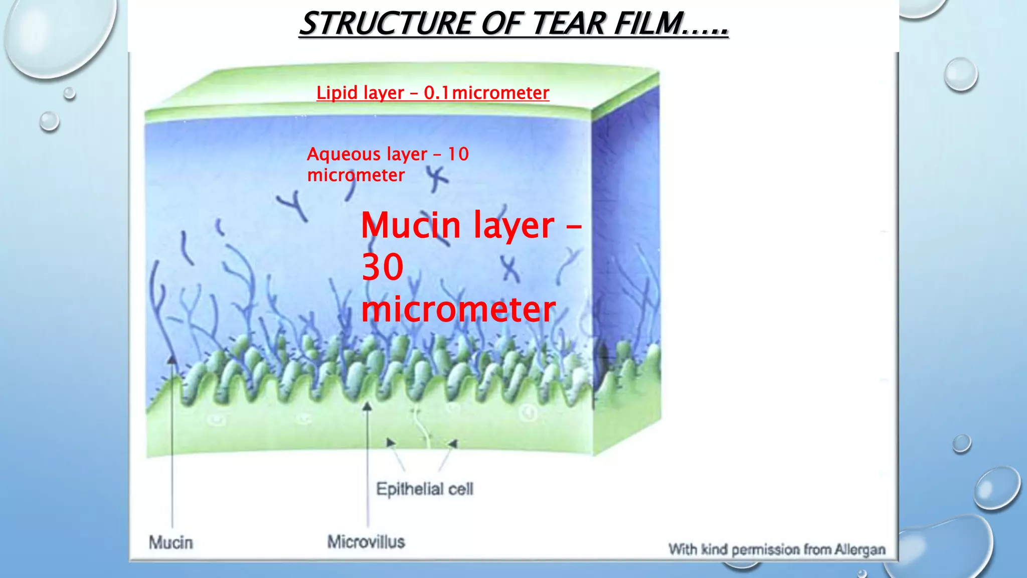 Tear film dynamics | PPTX