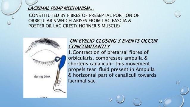 Tear film dynamics | PPTX | Eye and Vision Conditions | Diseases and ...
