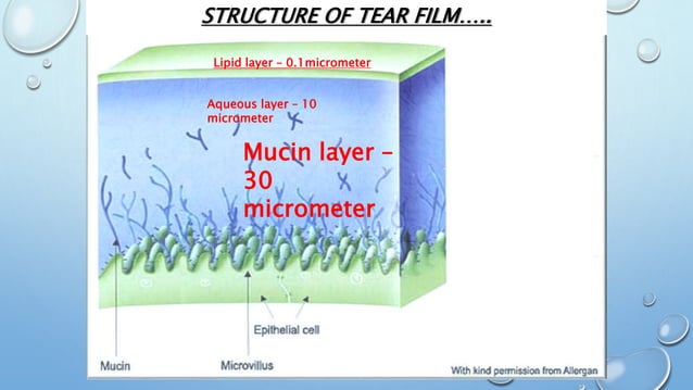 Tear film dynamics | PPTX | Eye and Vision Conditions | Diseases and ...