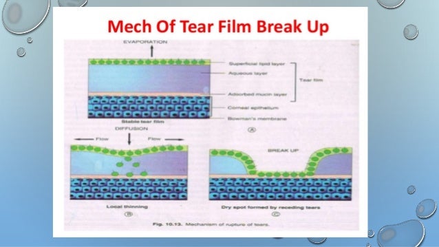 Tear film dynamics