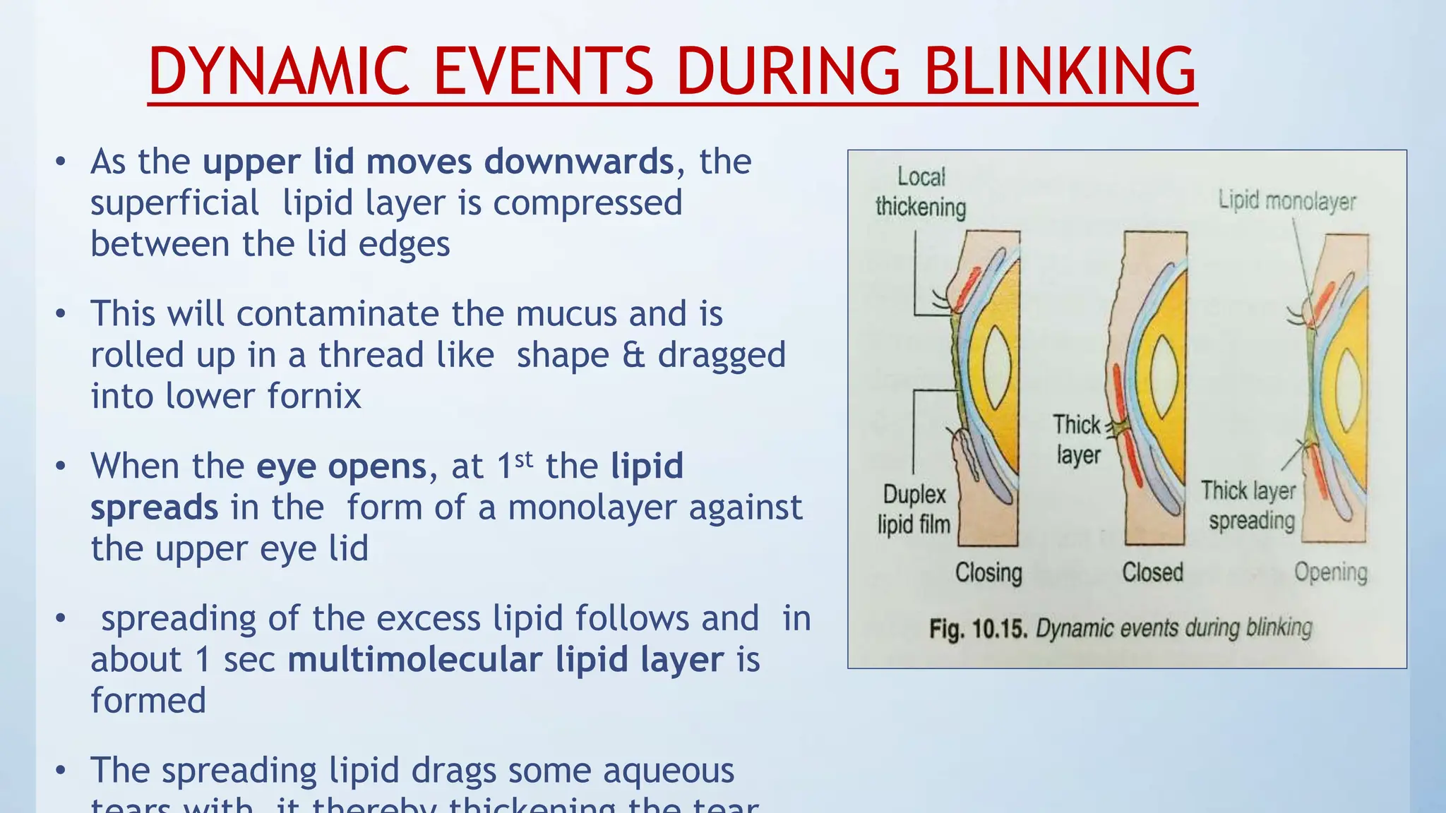 TEAR FILM PHYSIOLOGY Presentation ophthal | PPTX