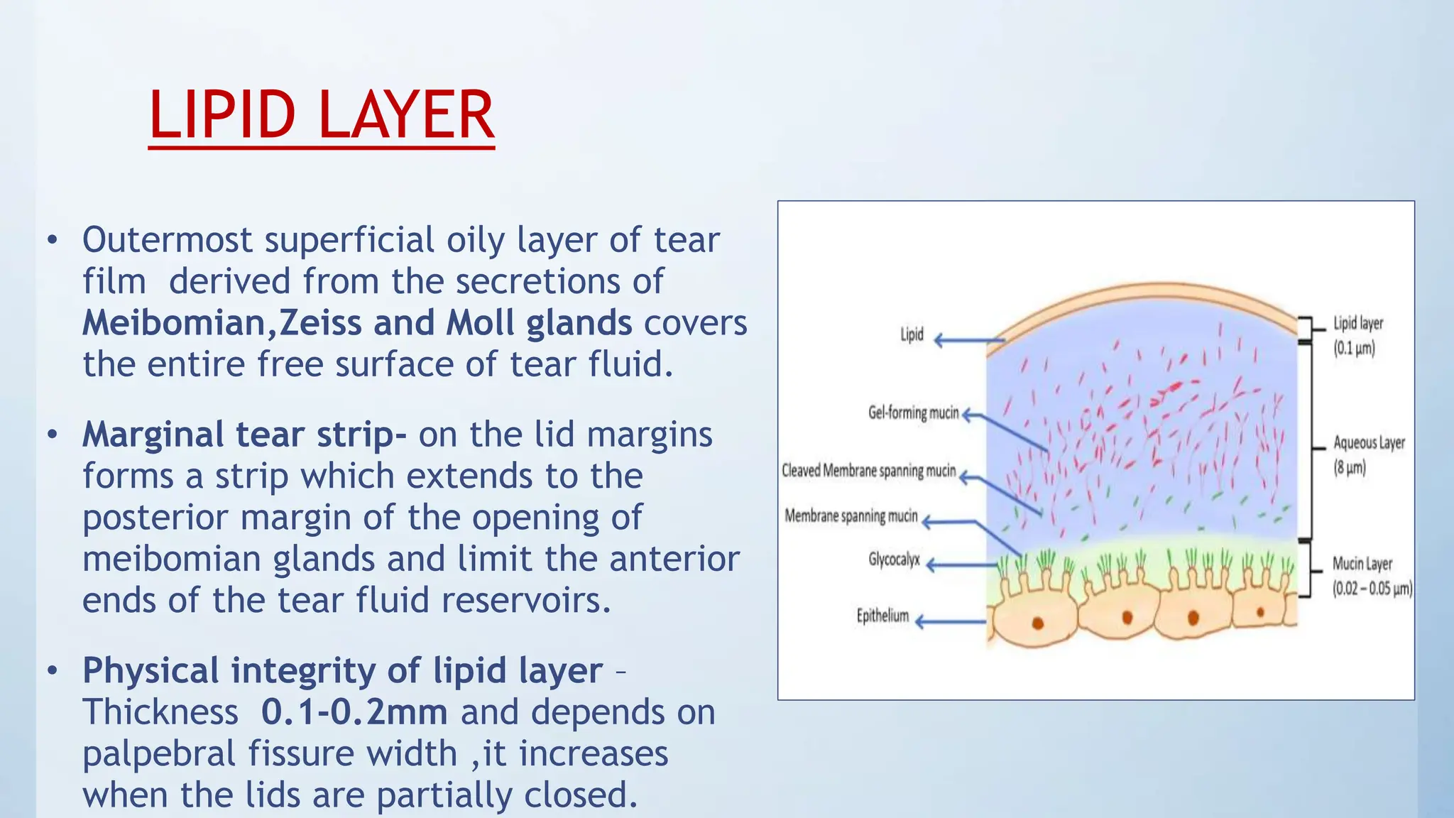 TEAR FILM PHYSIOLOGY Presentation ophthal | PPTX