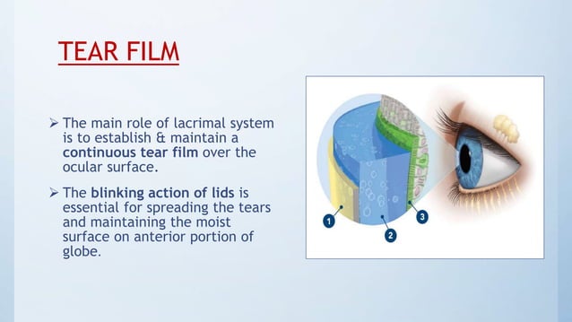 TEAR FILM PHYSIOLOGY Presentation ophthal | PPTX | Eye and Vision ...