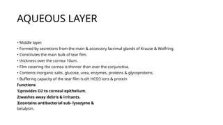 tearfilm physiology and biochemistry.pptx