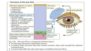TEAR FILM STRUCTURE AND ITS DYNAMICS BY DR. GUDIYA RANA (1).pptx