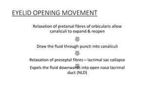 TEAR FILM STRUCTURE AND ITS DYNAMICS BY DR. GUDIYA RANA (1).pptx | Eye ...