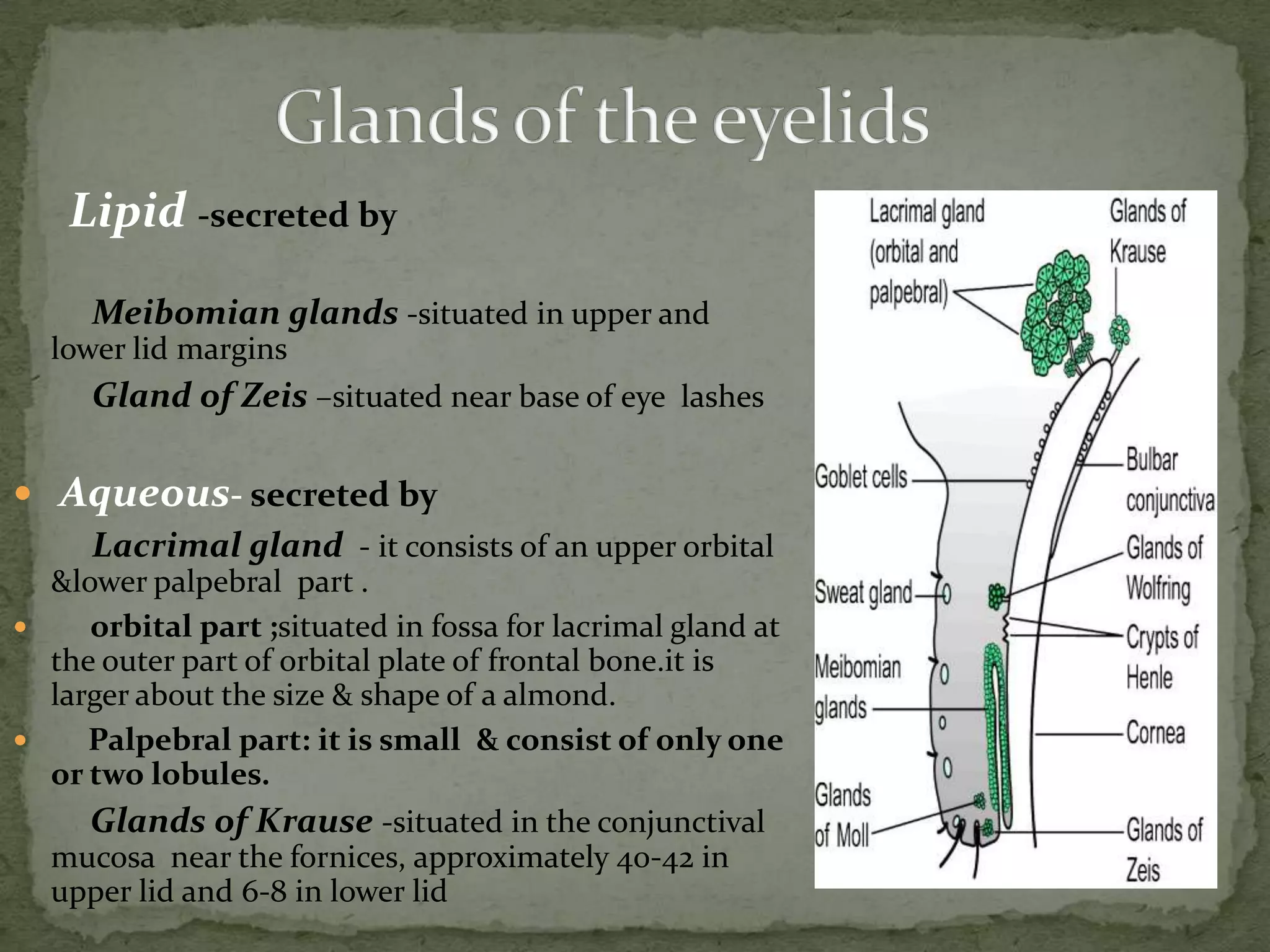 Tear film test | PPTX