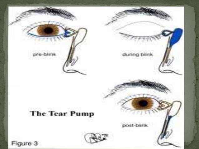 Tear film test | PPTX