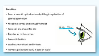 Tear function tests | PDF