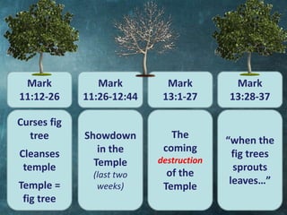 Tearing Down the Temple | A Sermon for Lent 5 from Mark 13 | PPT