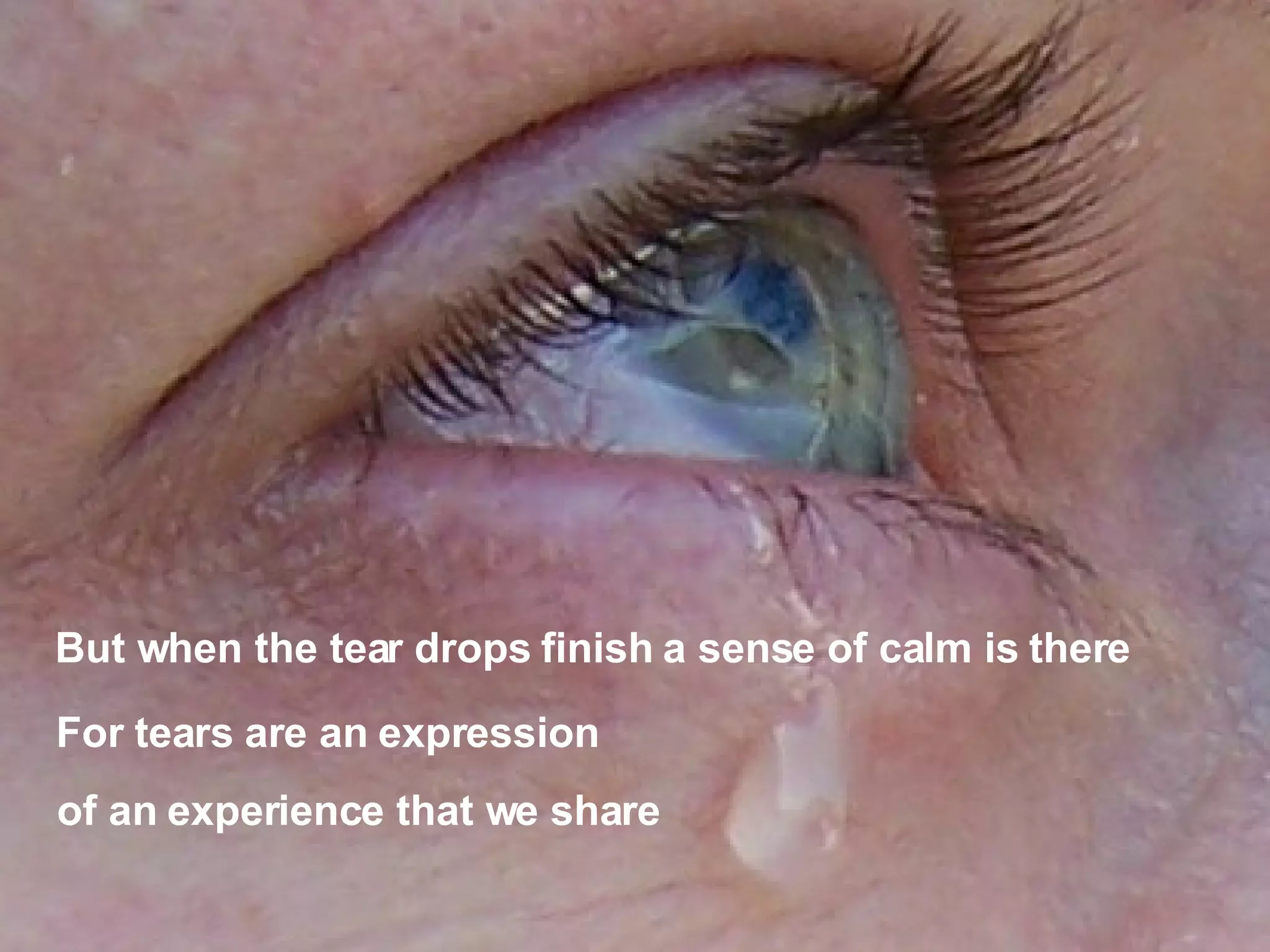 Tears | PPS