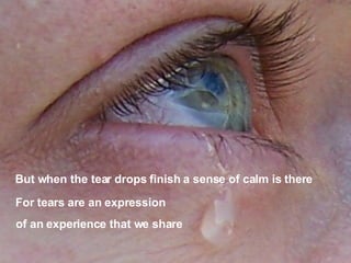 Tears | PPS