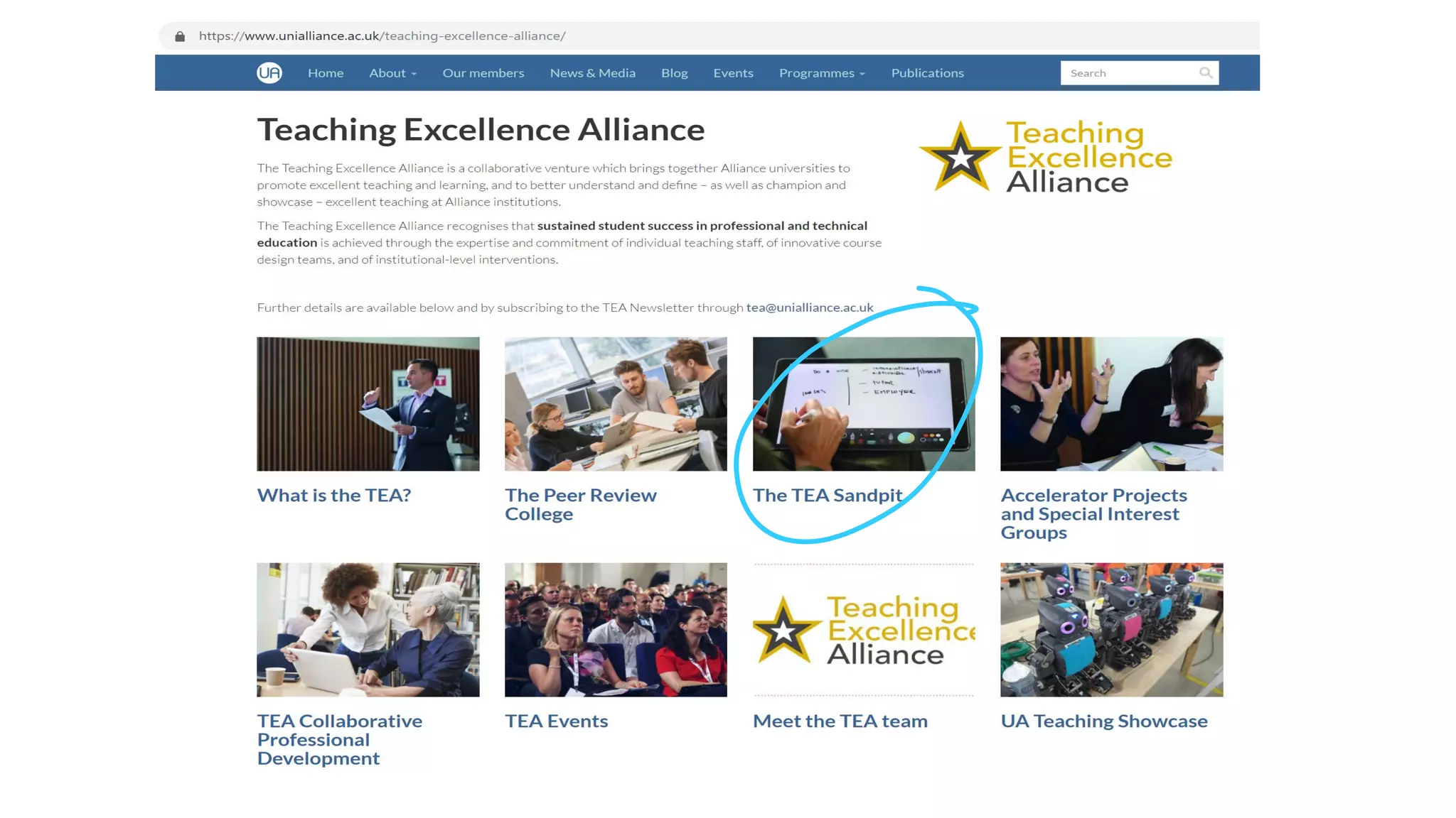 Teaching Excellence Alliance | PPT