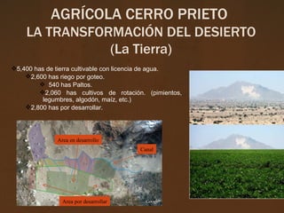 Agorindustria Peruana - Cerro Prieto | PPT