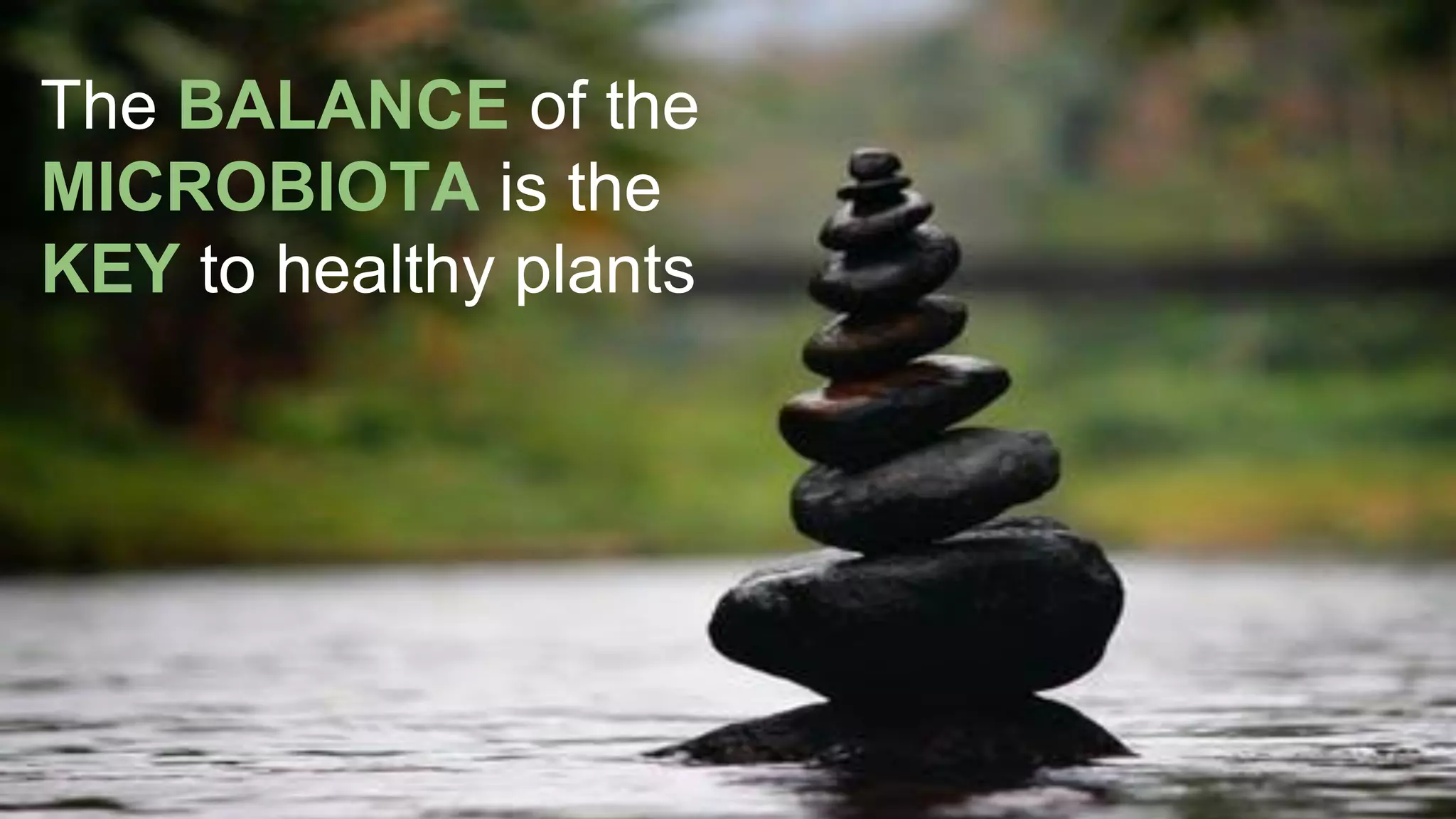 Teaser deck Microendo | PPT