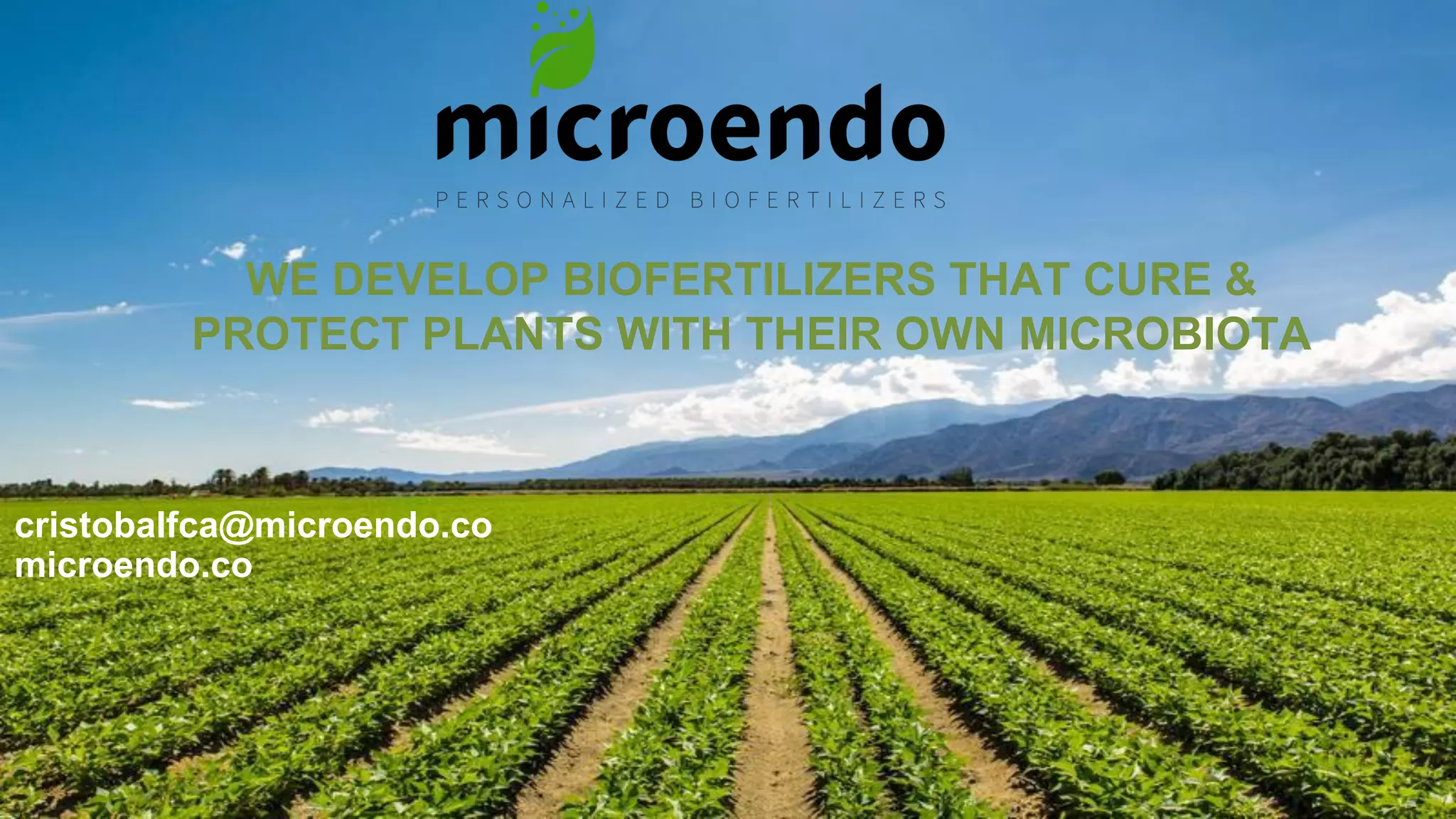 Teaser deck Microendo | PPT