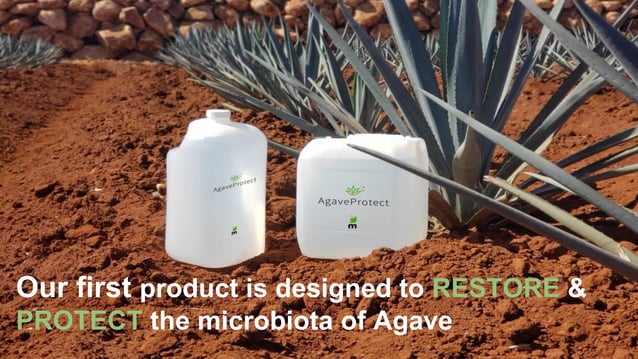 Teaser deck Microendo | PPT