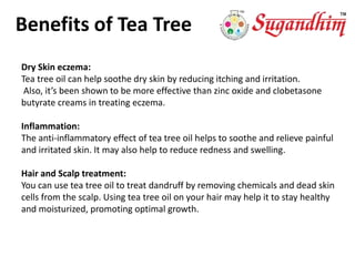 Tea tree oil | PPTX