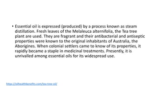 Tea tree oil | PPTX