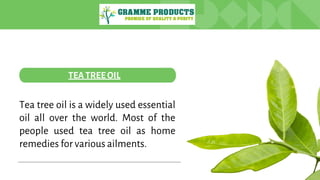 Tea Tree Oil - Uses and Benefits | PDF