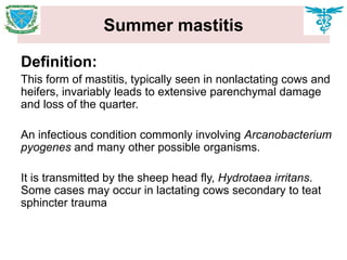 Teat surgery | PPTX | Death, Injury, or Military Conflict | Sensitive ...