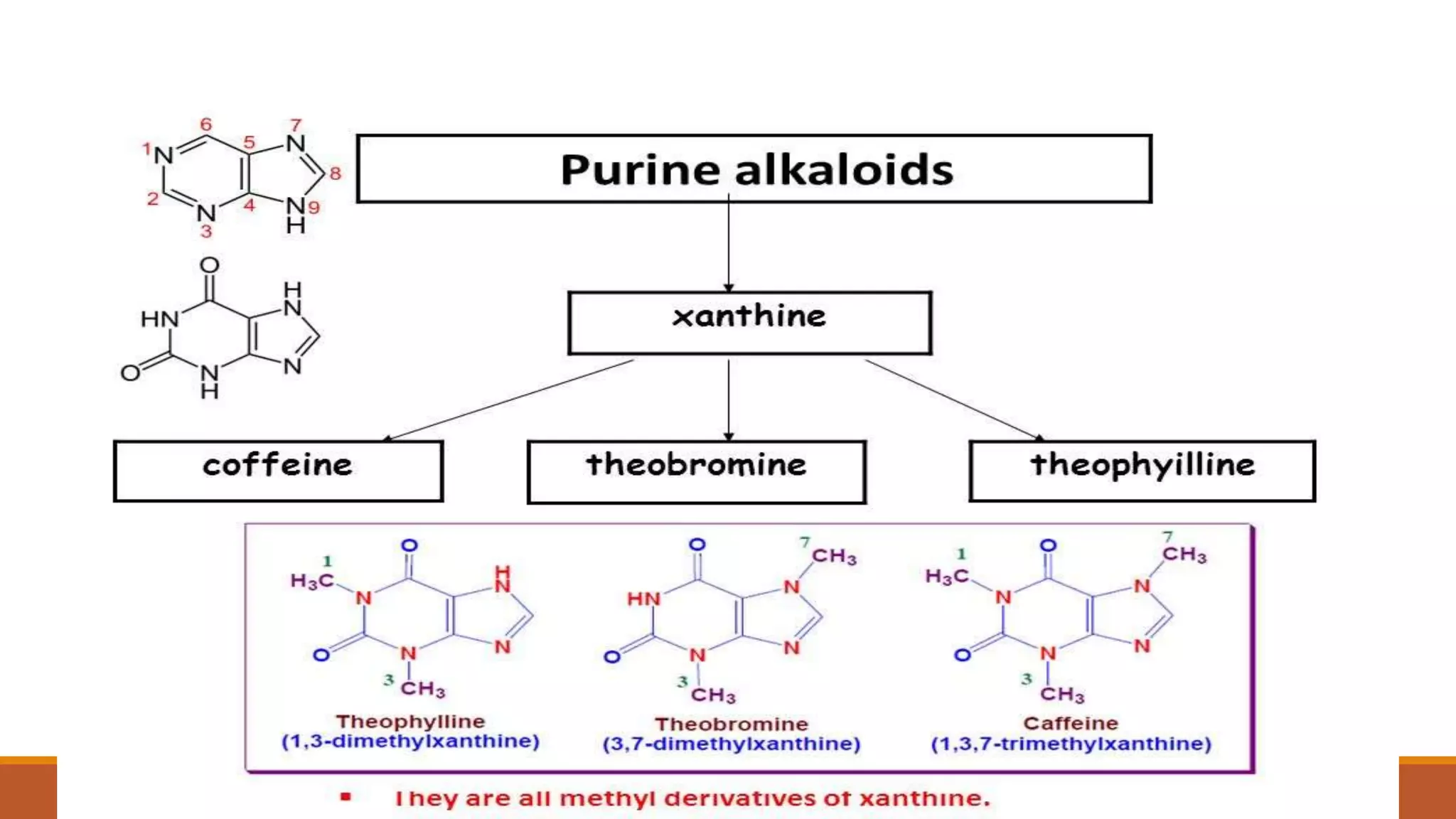 Purine alkaloids and Tea | PPT
