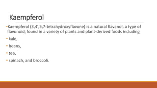 Purine alkaloids and Tea | PPT