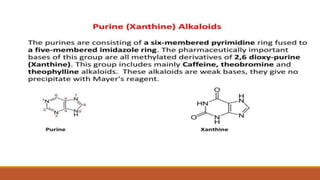 Purine alkaloids and Tea | PPT
