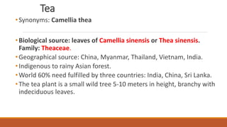 Purine alkaloids and Tea | PPT