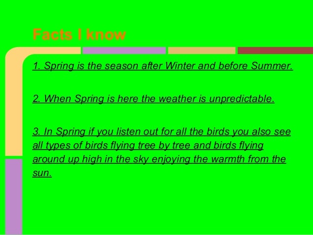 spring facts