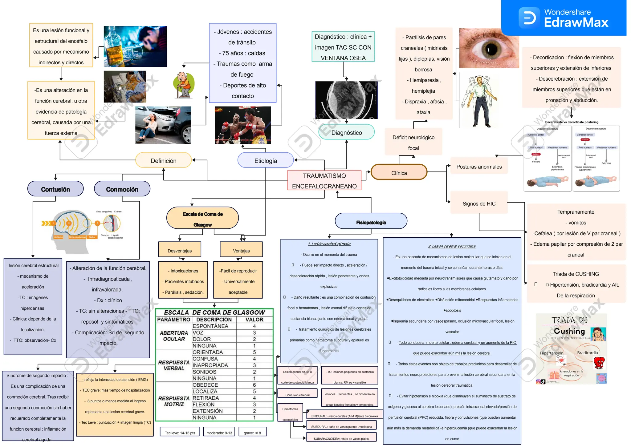 TEC.TRAUMATISMO ENCEFALO CRANEANO DEFINICIÓN | PDF