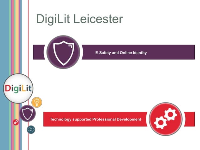 Defining Digital Literacy: in the context of the DigiLit Leicester ...