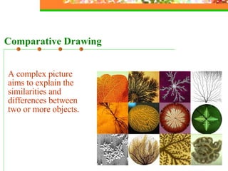 Image Processing Tools and Types of Drawings | PPT